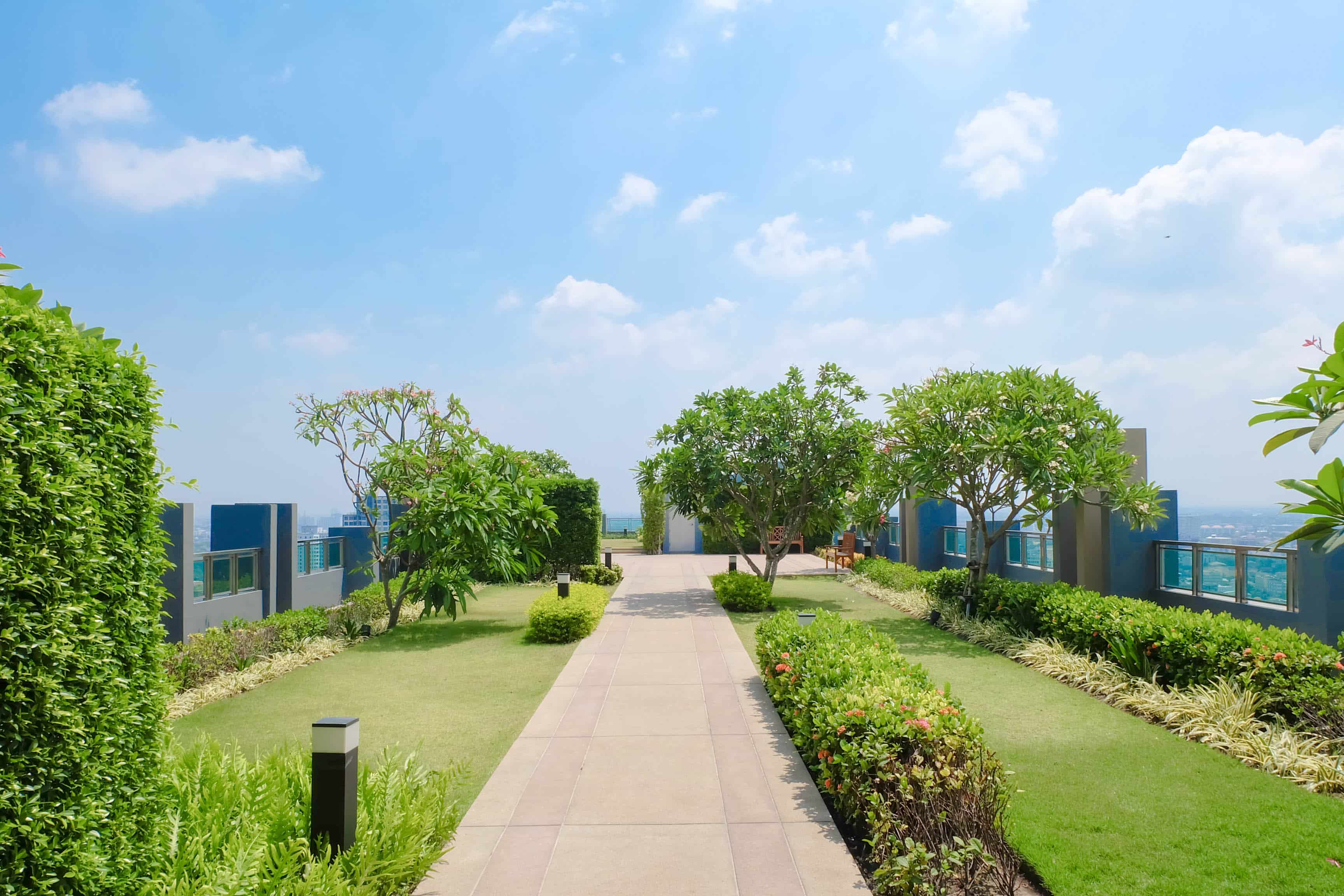 Toit végétalisé : le souffle vert des villes | Article - avis - Batiadvisor