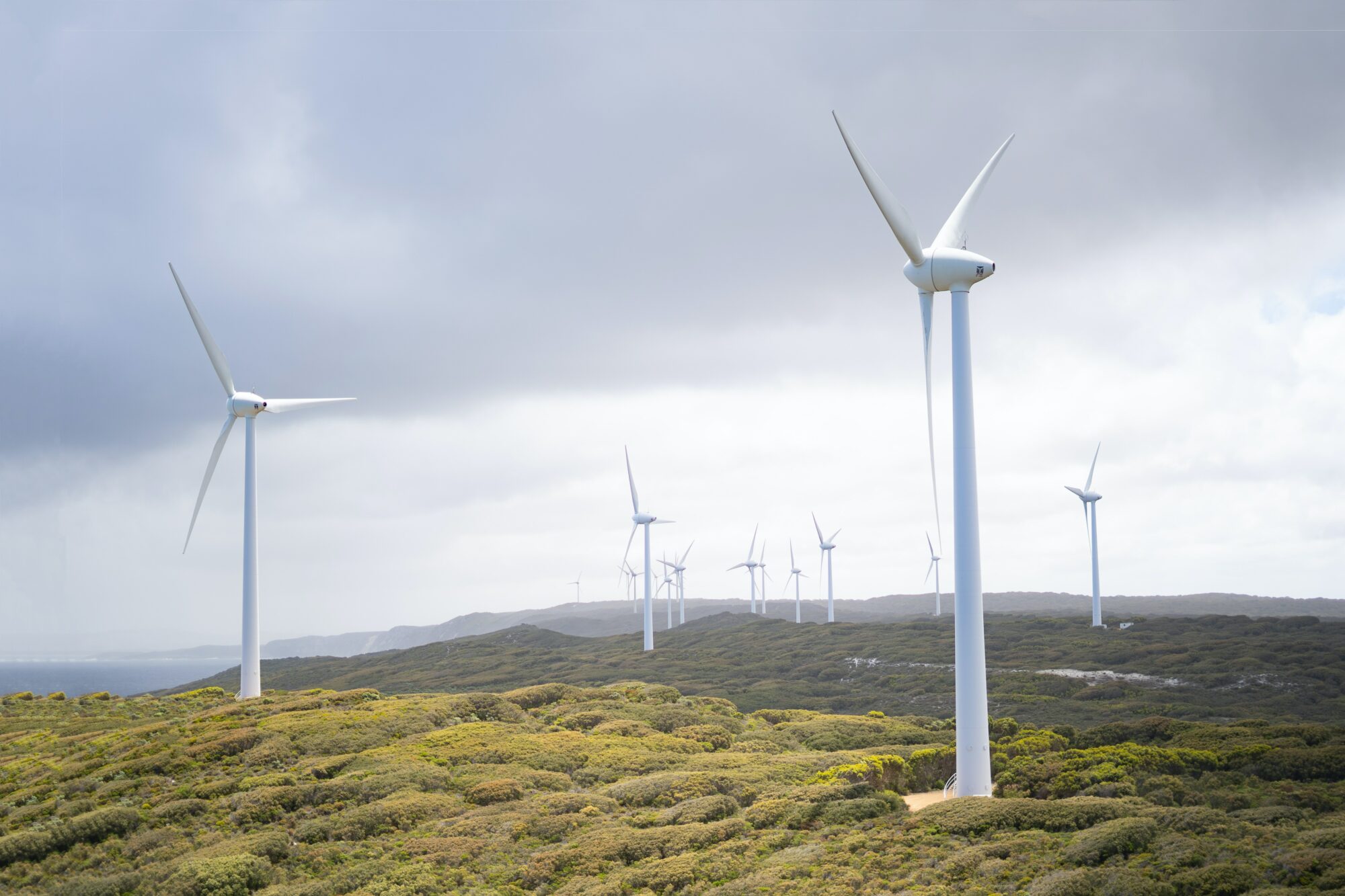 Un recours contre le projet de parc éolien d'Oléron | Article - Batiadvisor
